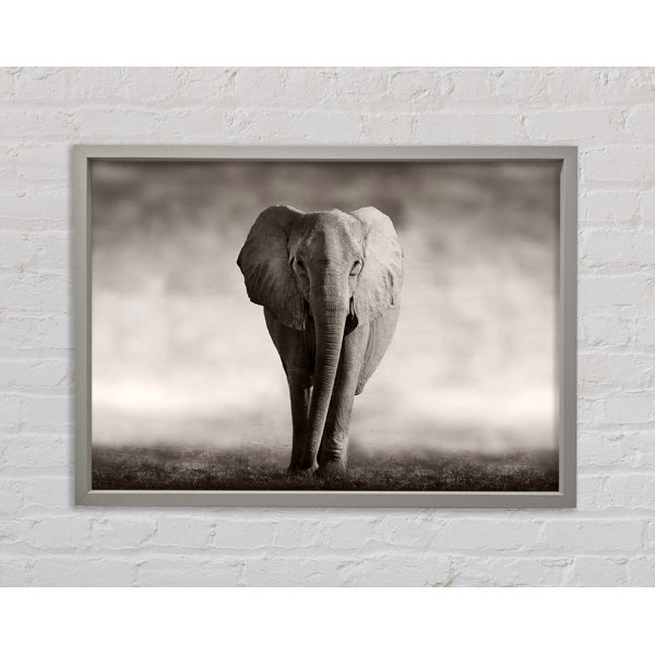 Bright Star Einsamer Elefant - Einzelner Bilderrahmen Kunstdrucke auf Leinwand | Wayfair.de